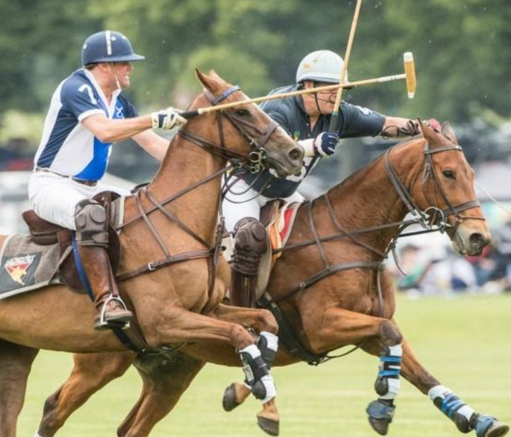 The Origin and History of the Polo Shirt | Madda Fella Blog